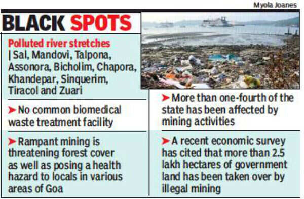 Green body raps Goa for not reporting pollution damage | Goa News ...
