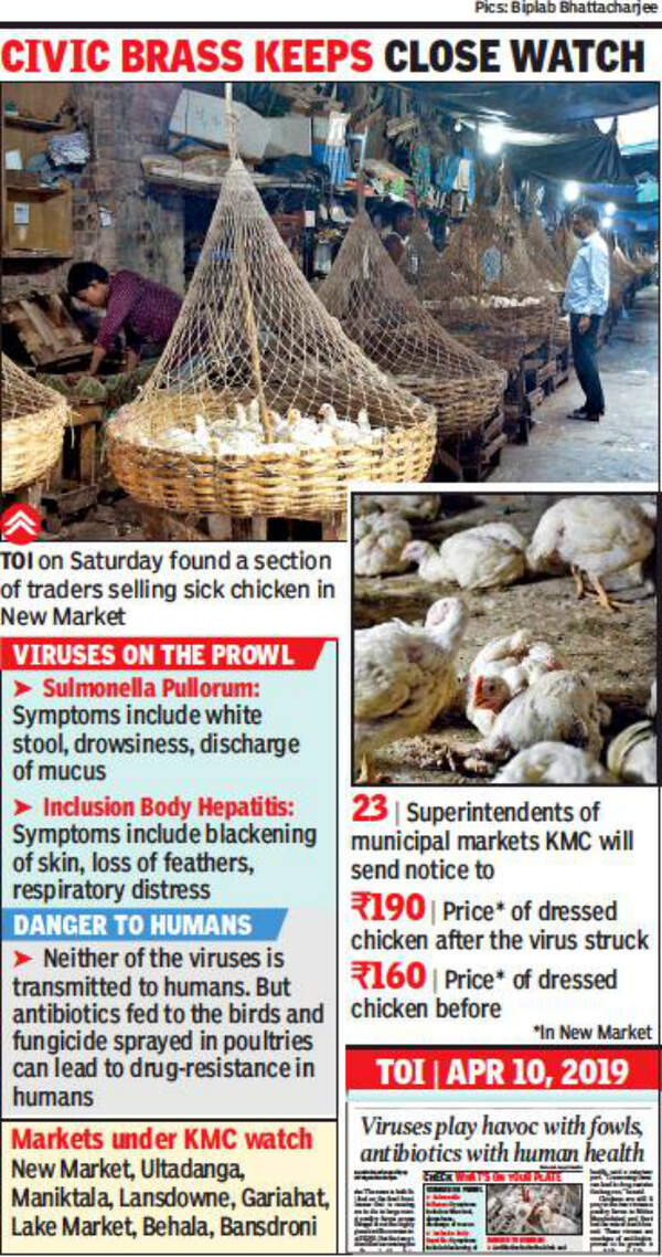 KMC warns against dead chicken sale | Kolkata News - Times of India