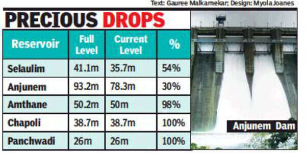 Anjunem reservoir level plunges to 30% | Goa News - Times of India