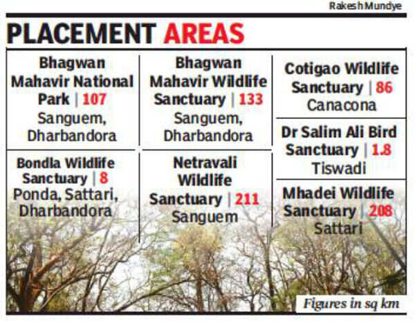 Forest department to rope in locals as nature guides | Goa News - Times ...