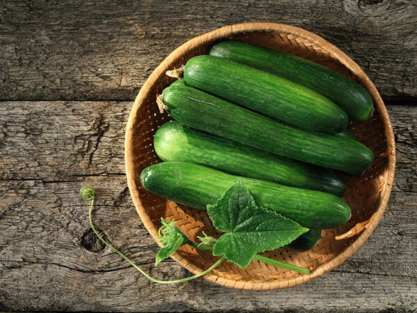 5 amazing cucumber recipes and why you must have this vegetable daily ...