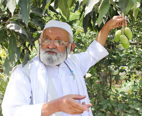 Known for his experiments on farm, UP's 'mango man' now poll ambassador ...