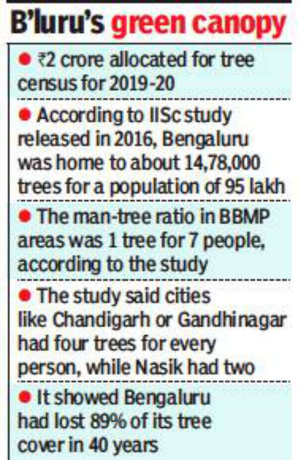BBMP tree census to begin in mid-May | Bengaluru News - Times of India