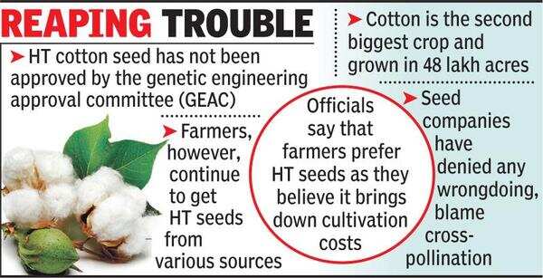 Telangana frets as HT cotton finds roots in state | Hyderabad News ...