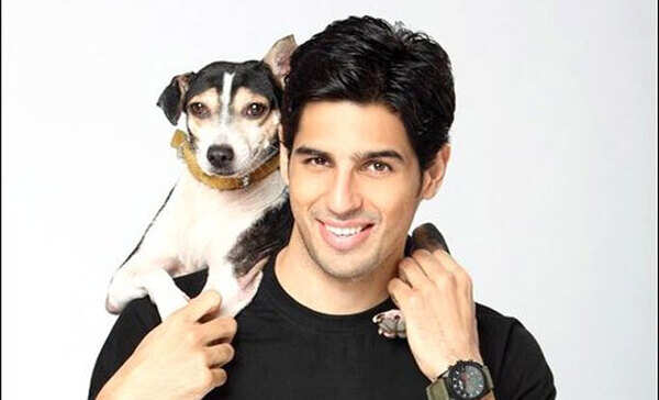 Leading by example: Celebs who brought strays into their lives - Times ...