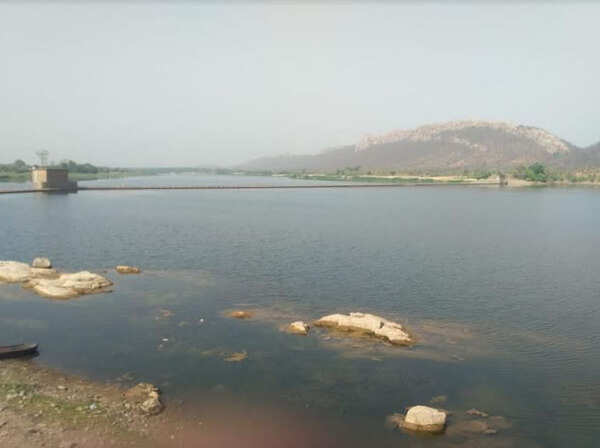 Madhya Pradesh: Tap water a pipe dream for people in Harpalpur | Bhopal ...