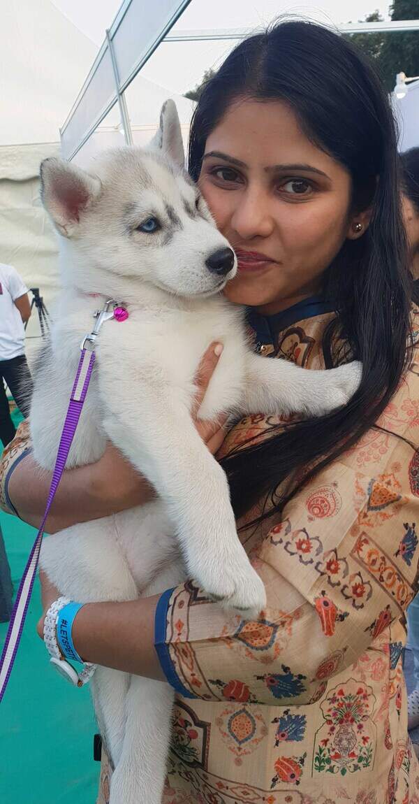 Can pets talk? Yes, say these animal communicators - The Times of India