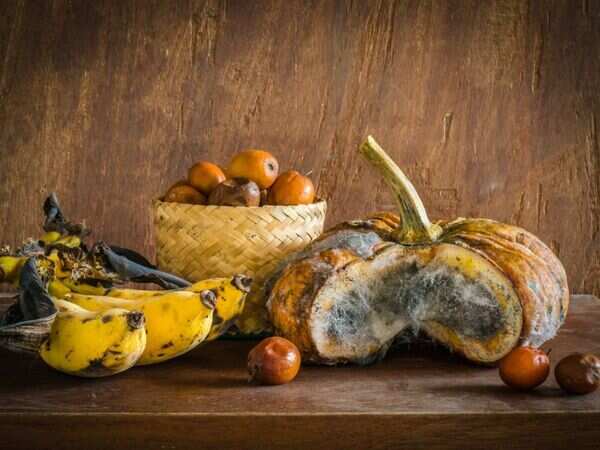 What causes food infection? - Times of India