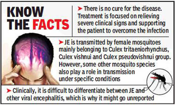 Surge in Japanese Encephalitis cases, govt to ramp up vaccination drive ...