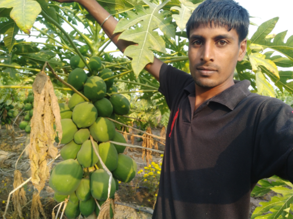 These YouTube kisans make farming easy - The Times of India