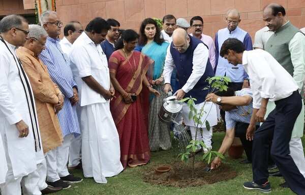 PM Modi participates in tree plantation drive | India News - Times of India