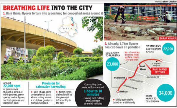 Delhi: After untying traffic knots, Rani Jhansi flyover now goes green ...