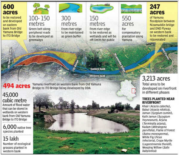 How DDA is giving a new lease of life to Yamuna, one bank at a time ...