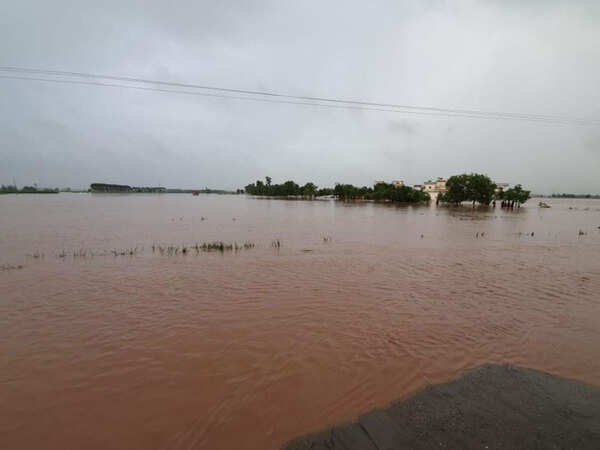 Barara Block In Haryana'S Ambala District: Haryana: Floods wreak havoc ...