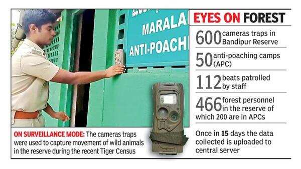 Now, camera traps to keep a tab on staff at anti-poaching camps ...