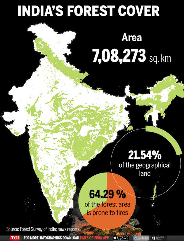 Amazon fire should wake us to the threat closer home | India News ...