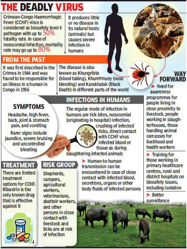 Rajasthan: Suspected Congo fever virus samples sent to Pune for test ...