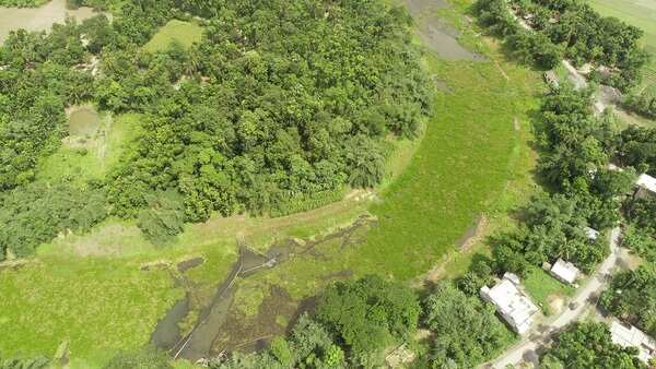 Ichamati river’s journey back to life | Kolkata News - Times of India