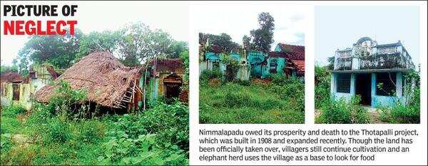 Abandoned Andhra village turns home for wild elephants | Visakhapatnam ...