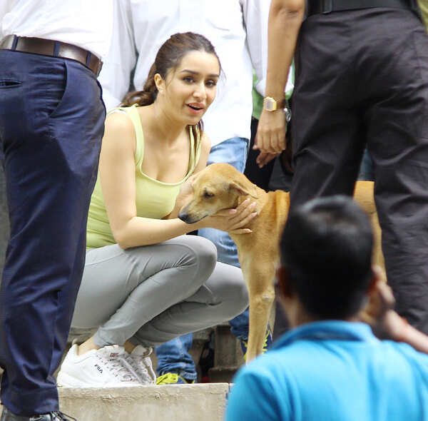 Poochie love! Shraddha Kapoor snapped playing with the street dogs ...