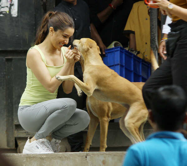 Poochie love! Shraddha Kapoor snapped playing with the street dogs ...