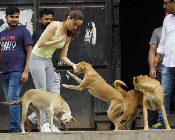 Poochie love! Shraddha Kapoor snapped playing with the street dogs ...