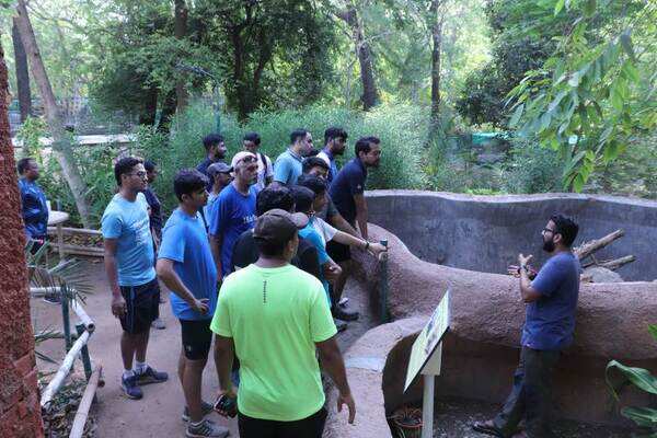 Several activities to mark National Wildlife Week - Times of India