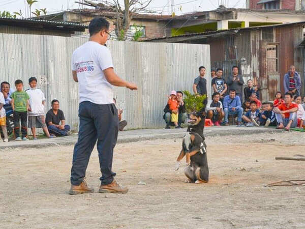 A Manipur man's 18-year crusade against dog meat consumption | Imphal ...