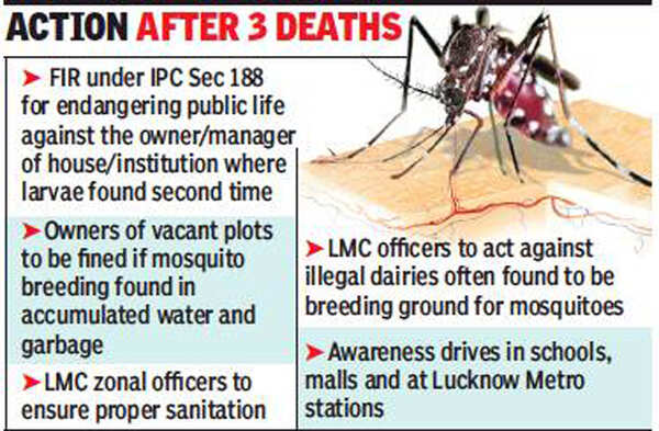 Dengue Sting Gets Sharper Claims Third Victim In Up Lucknow News
