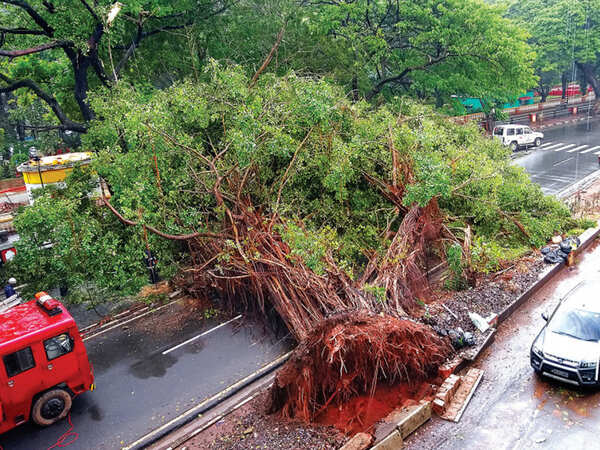 Cyclone in Goa: Goa on its knees as Cyclone Kyarr delivers knockout ...