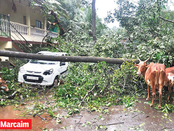 Cyclone in Goa: Goa on its knees as Cyclone Kyarr delivers knockout ...