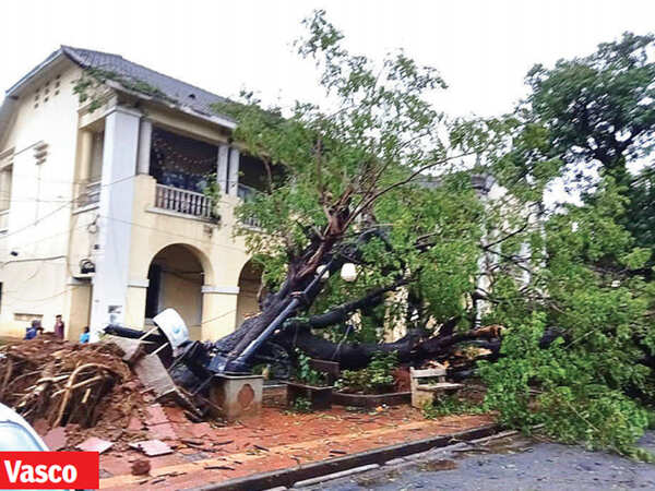 Cyclone in Goa: Goa on its knees as Cyclone Kyarr delivers knockout ...