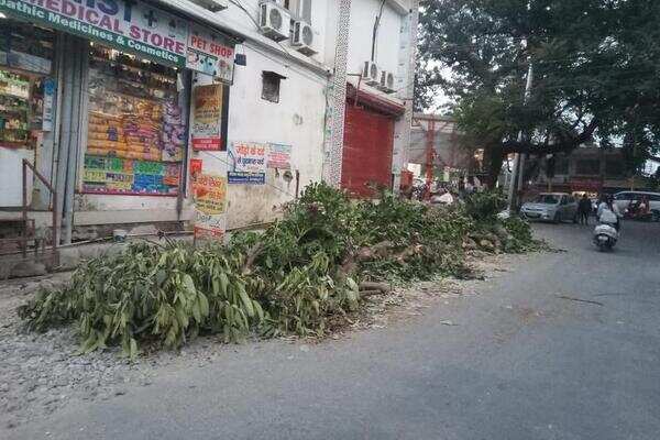 Doon Vihar residents continue protest against proposed felling of trees ...