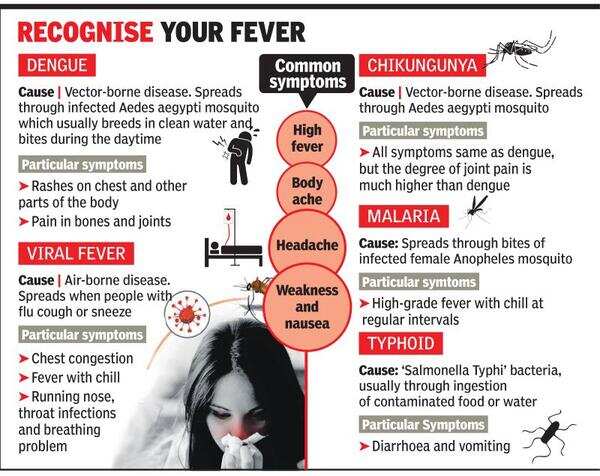 Dengue? Same symptoms trigger confusion over fever in Lucknow | Lucknow News - Times of India