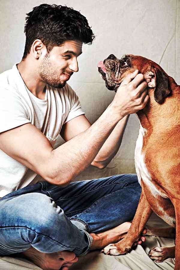 Meet Bollywood’s pet-stagrammers | Hindi Movie News - Times of India