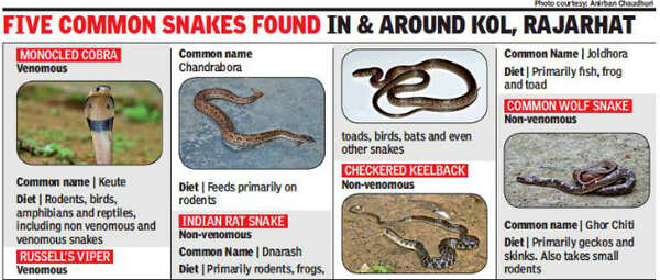 West Bengal board students to get a peek into reptile world; new ...