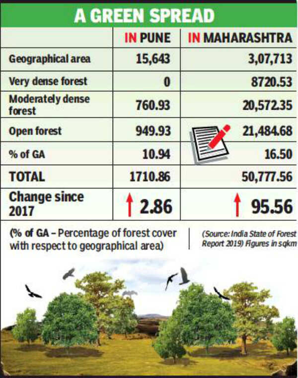 Slight rise in Pune district forest cover in 2 years | Pune News ...