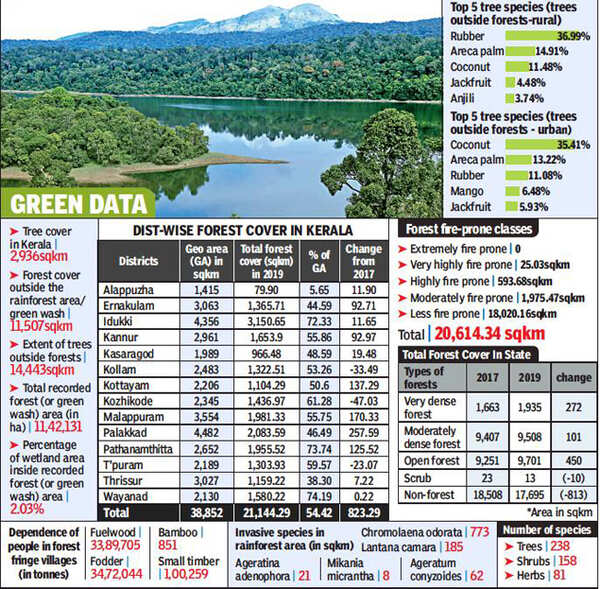 Kerala’s forest cover thickens | Thiruvananthapuram News - Times of India