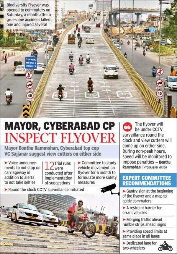Safety additions on Biodiversity Flyover mostly just distractions ...