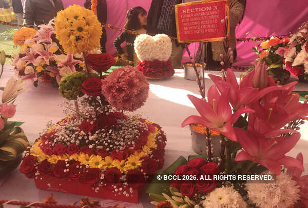 Rose lovers witness an enthralling showcase of rose varieties at the ...