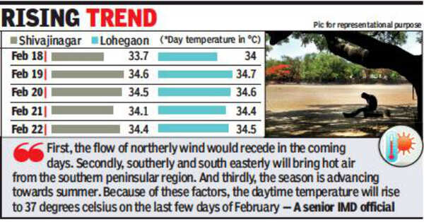 Pune: Summer-like weather condition by February-end, forecasts IMD ...