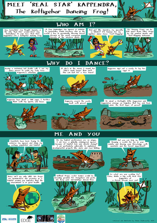 Upendra's dance inspires name for a species of dancing frogs | Kannada ...