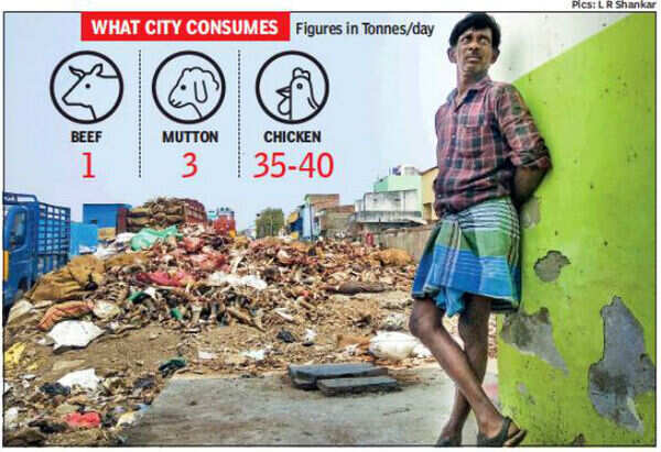 Chennai: The meat you eat comes from a house of horrors | Chennai News ...