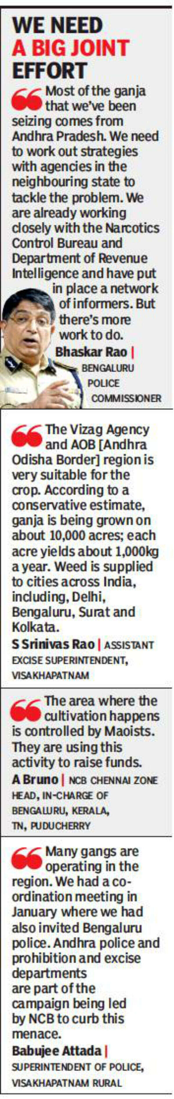 Drug chain: How ‘Sheelavathi ganja’ from Vizag Agency makes it to ...