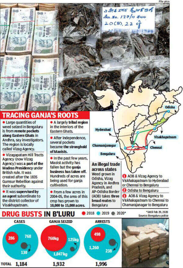 Drug chain: How ‘Sheelavathi ganja’ from Vizag Agency makes it to ...