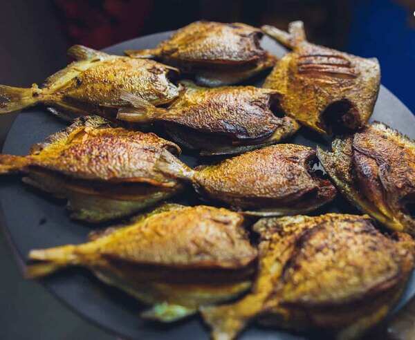 Foodies dig into India’s culinary past with micro cuisines - Times of India