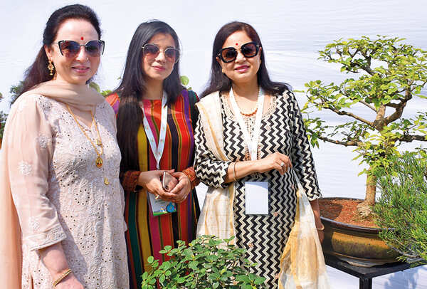 Small was big at this bonsai summit in Lucknow | Events Movie News ...