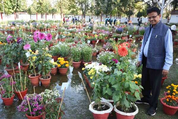 Multi-hued variety of flowers on display at an annual flowers show in ...