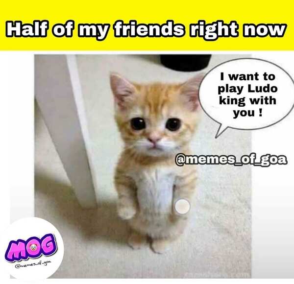 12 Goan memes to keep us giggling through tough times during the ...