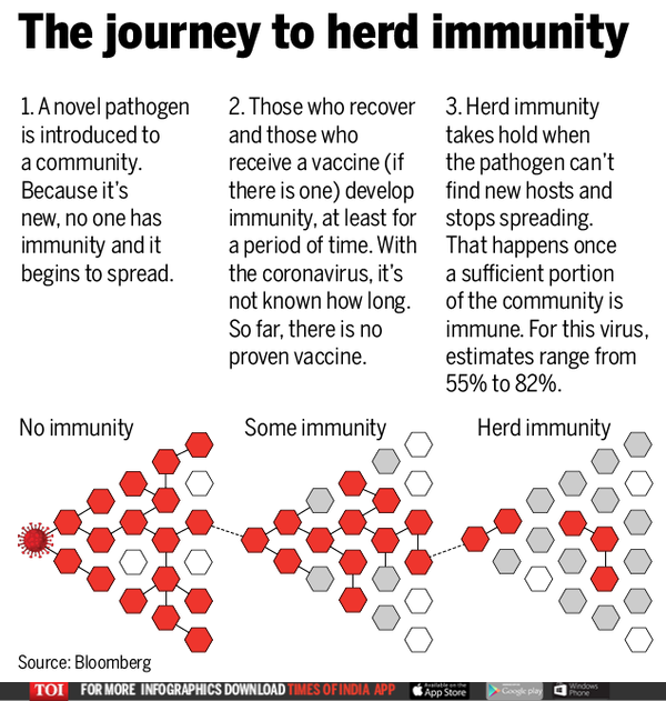 Covid-19: A 'herd immunity' strategy could actually work in youthful ...